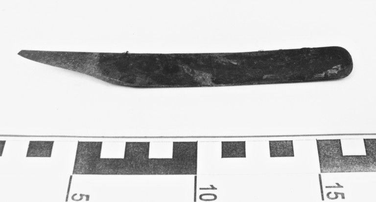 Patrimonio culturale dell'Emilia-Romagna