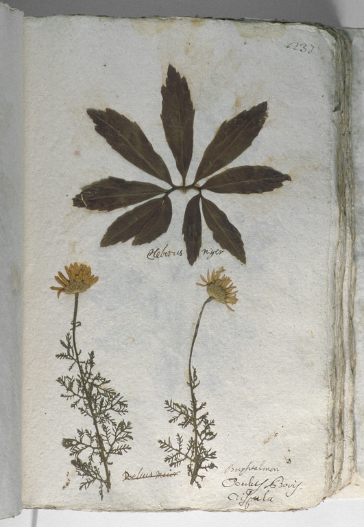 Patrimonio culturale dell'Emilia-Romagna